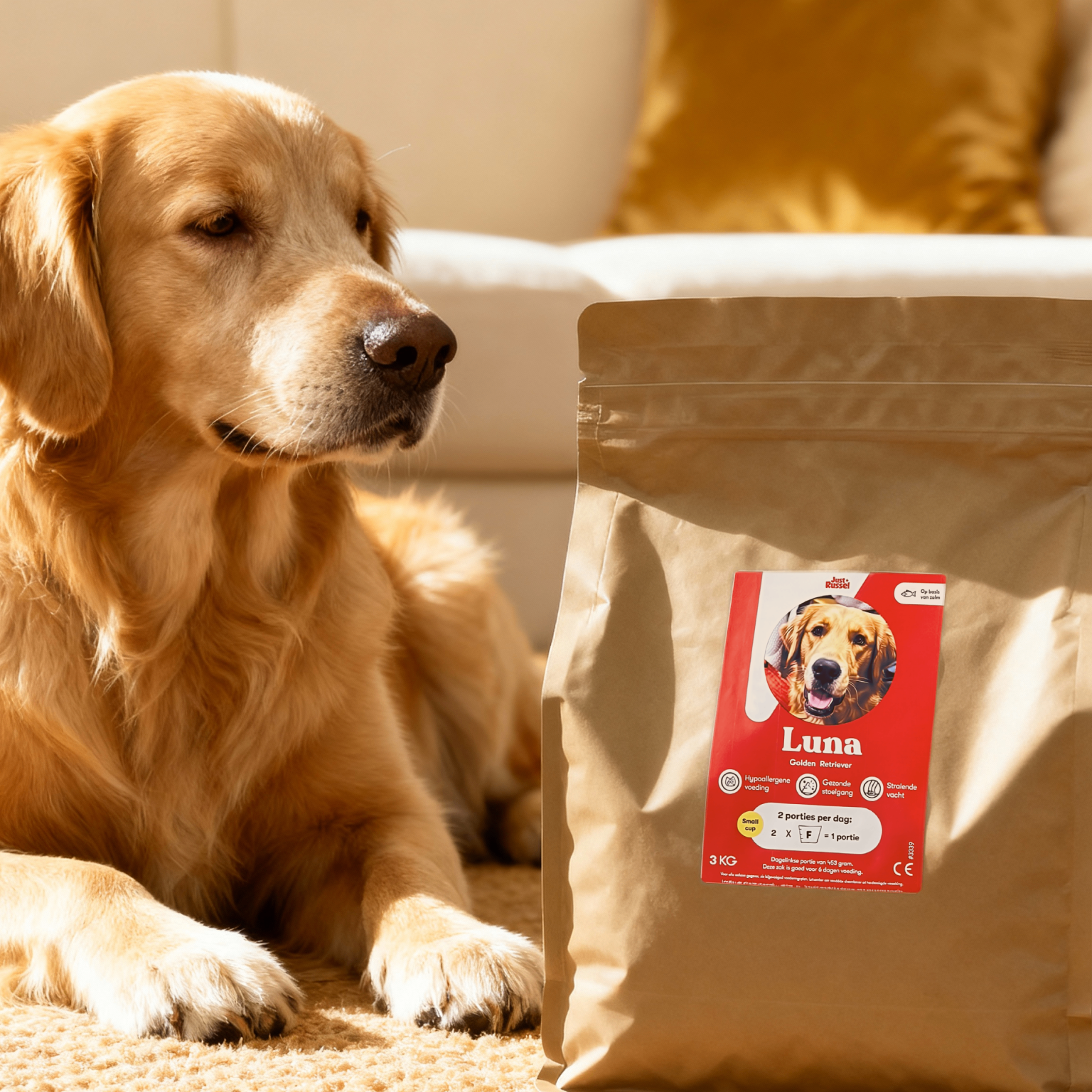 Inku - AI That Truly Understands Your Brand DNA